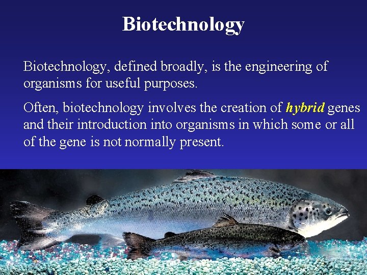 BIOTECHNOLOGY Embryonic stem cells and gene therapy Dolly