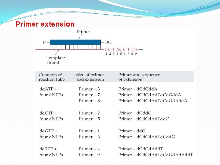 Chemical Synthesis Amplification and Sequencing of DNA Part