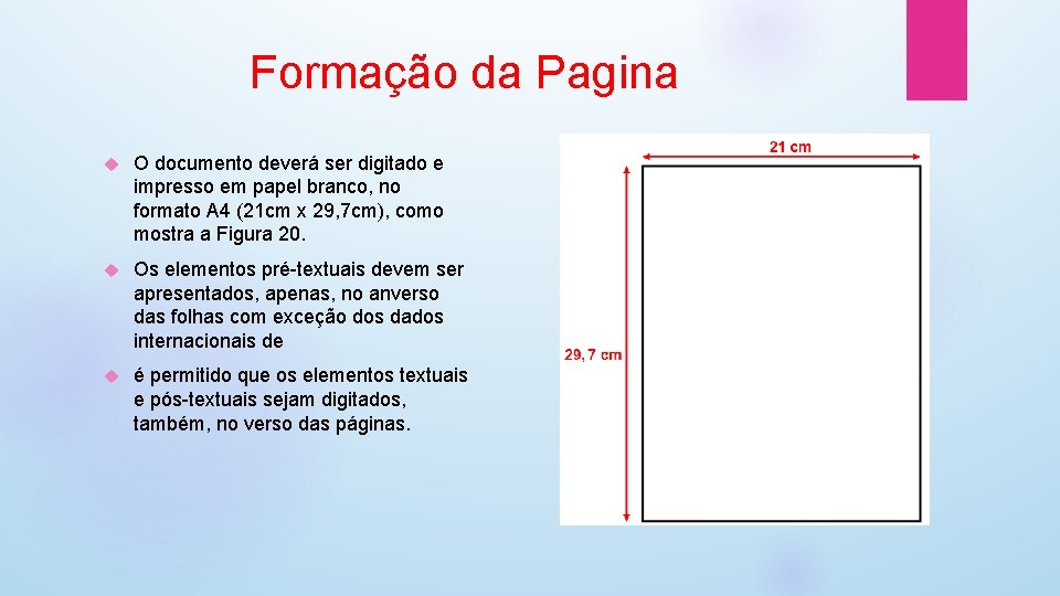Paginao de documentos TRABALHO DE AFONSO CAPPELLE RAIYALA