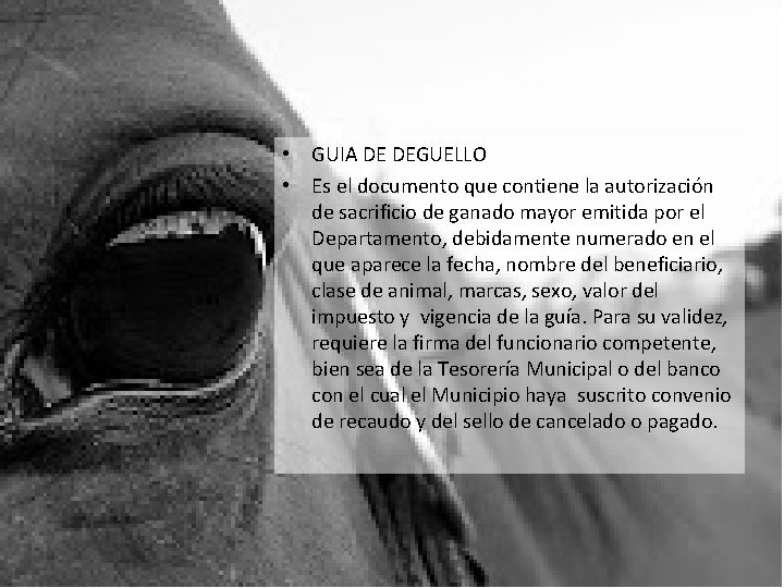 IMPUESTO AL DEGUELLO DE GANADO MAYOR Y MENOR