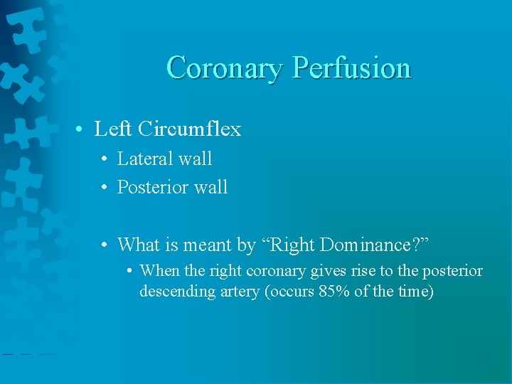 Adult Echocardiography Lecture 10 Coronary Anatomy holdorf Anterior