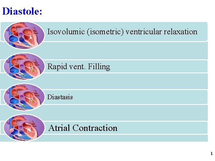 Diastole Isovolumic isometric ventricular relaxation Rapid vent Filling