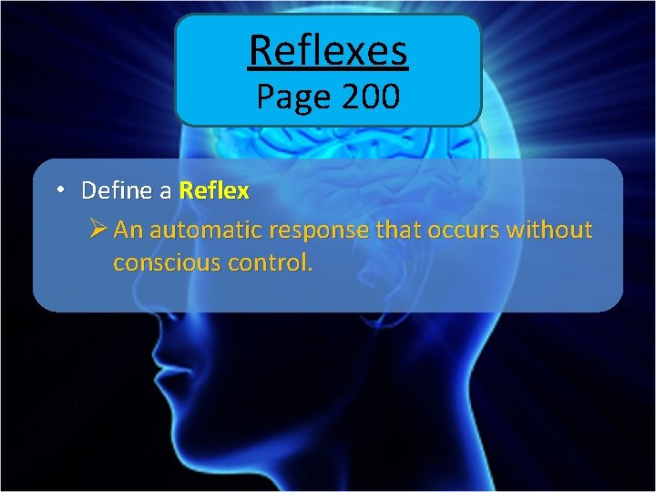 Divisions of the Nervous System HBH Chapter 7