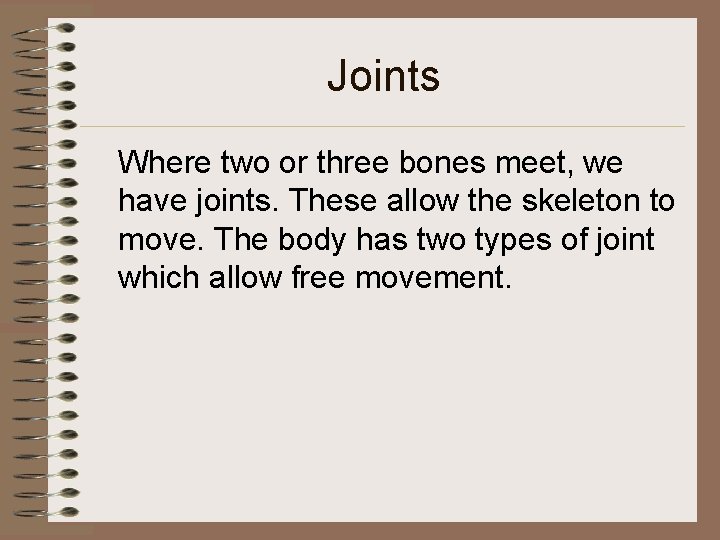 The Body Structure and Function The Skeleton v