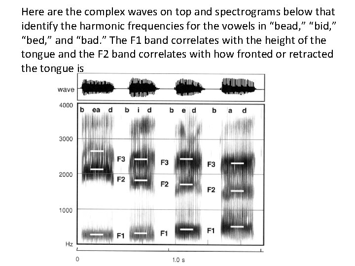 THE LINGUISTIC STUDY OF VOWELS What is Sound