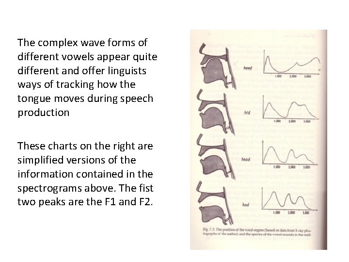 THE LINGUISTIC STUDY OF VOWELS What is Sound