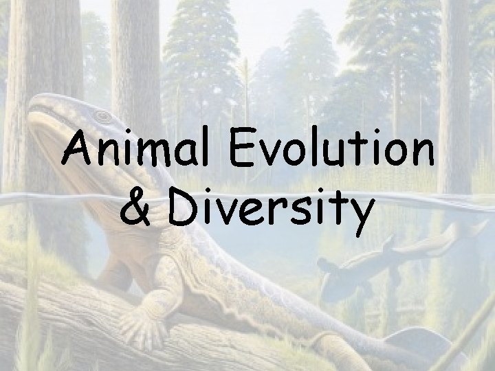 Animal Evolution Diversity Origins of the Invertebrates Traces