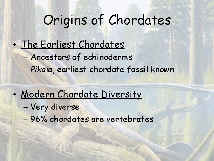Animal Evolution Diversity Origins of the Invertebrates Traces