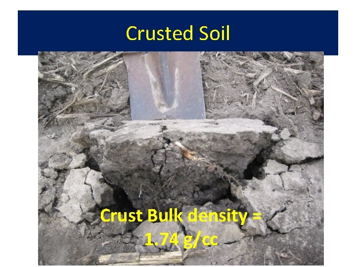 Soil Fertility Impacting Soil Health Ray Ward Laboratories