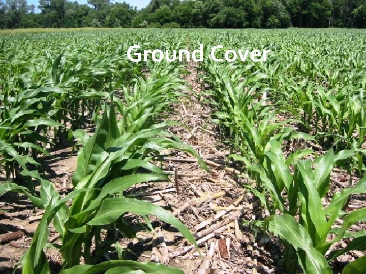 Soil Fertility Impacting Soil Health Ray Ward Laboratories