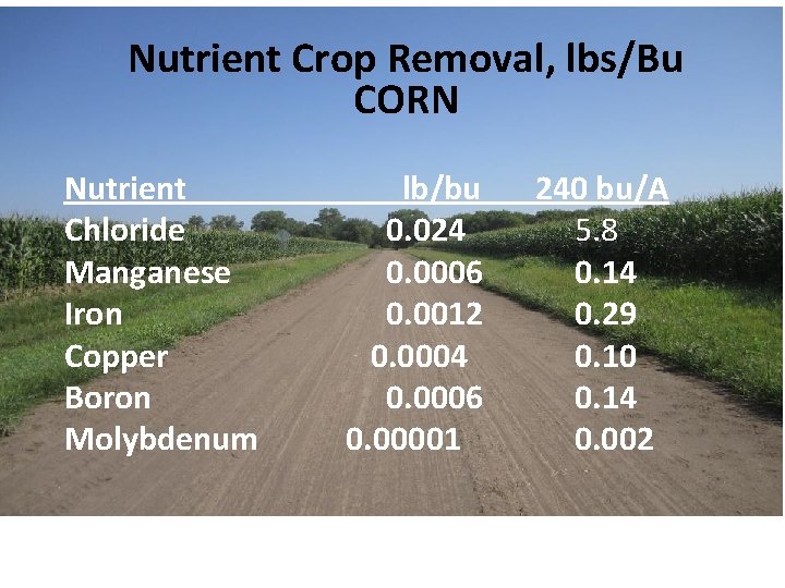 Soil Fertility Impacting Soil Health Ray Ward Laboratories