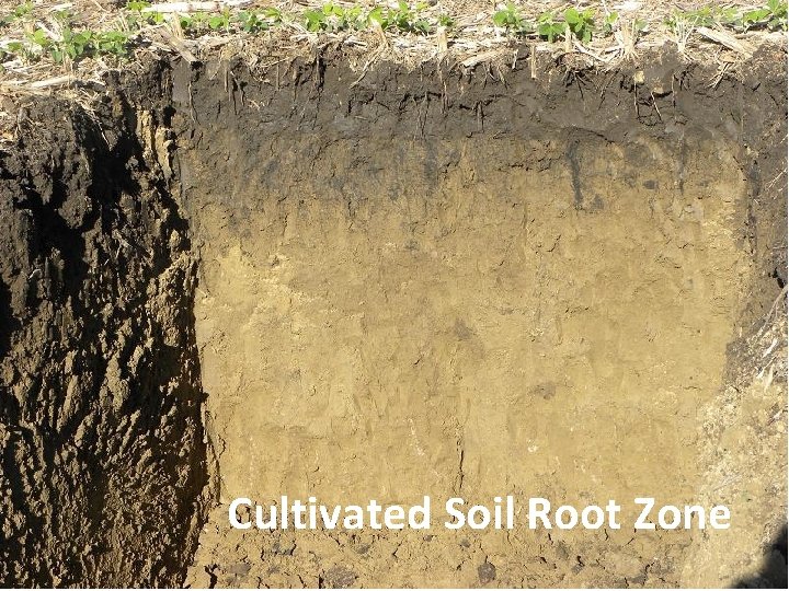 Soil Fertility Impacting Soil Health Ray Ward Laboratories