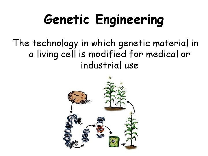 Land Vocabulary Genetic Engineering The technology in which