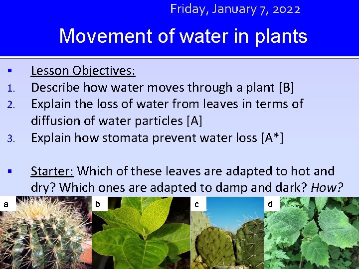 Friday January 7 2022 Movement of water in