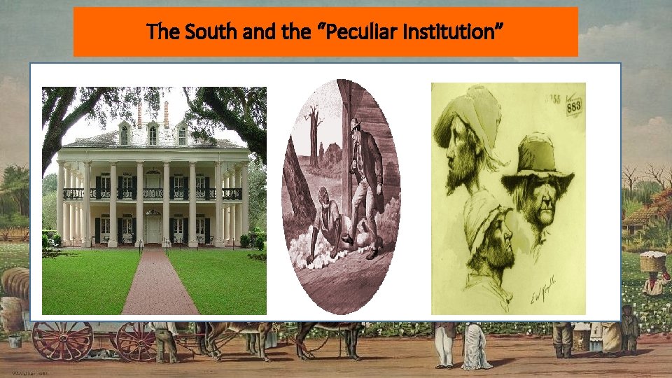 The South and the Peculiar Institution I Nation