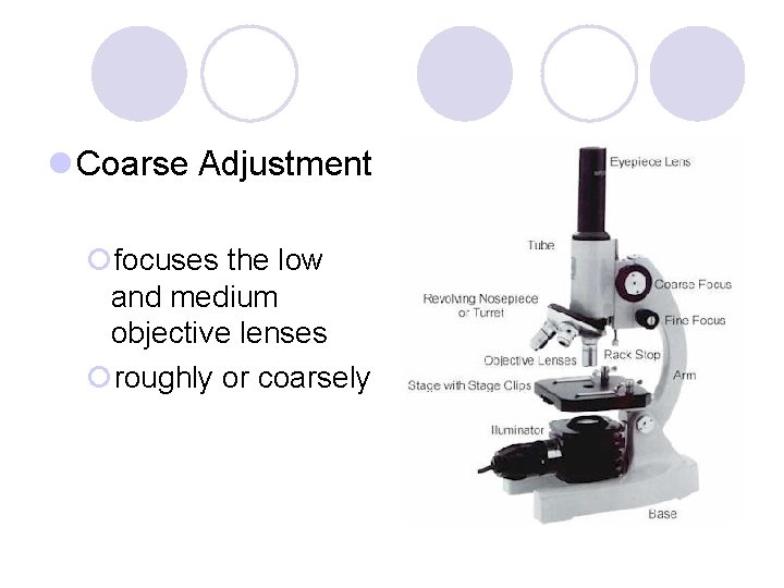 The Microscope The Microscope There are 2 types