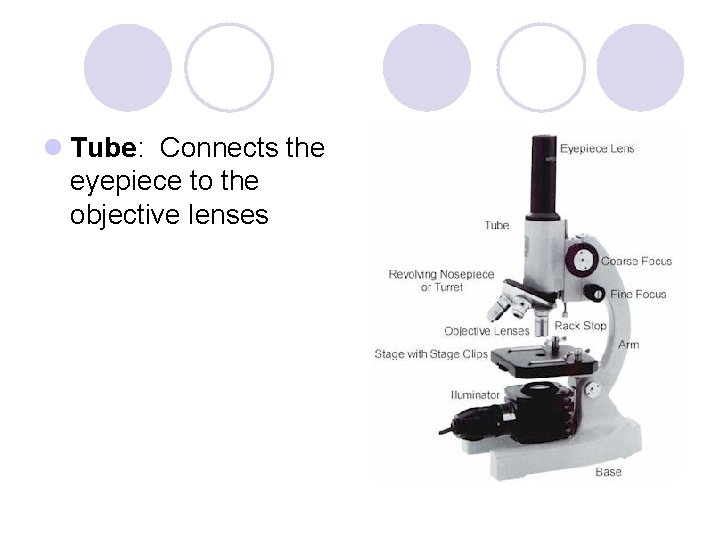 The Microscope The Microscope There are 2 types