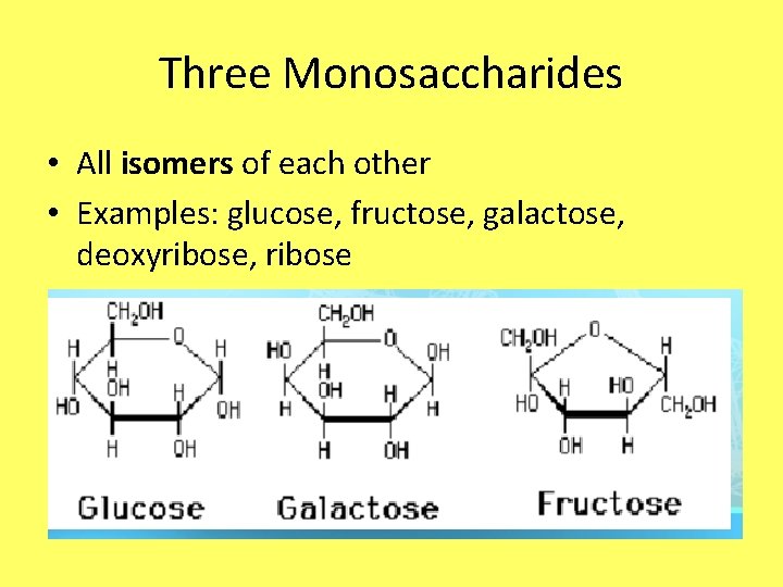 4 Major Macromolecules 3 Objectives 1 Describe the