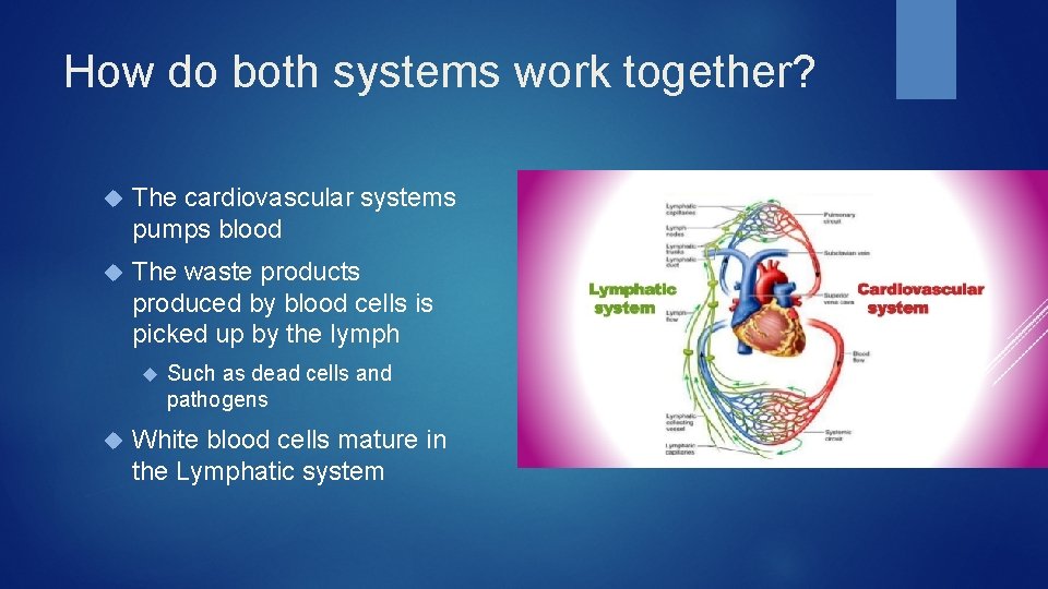 Bell ringer write only question 2 1 Provide