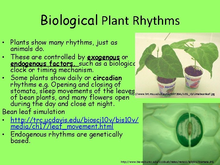 http www freewebs comedurinkPLANTSINSPACE 2 jpg Plant Timing