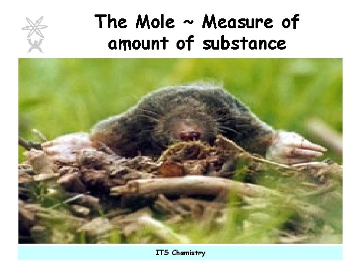 Mole Lesson 2 Comparing Masses of different Substances