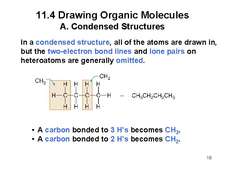 Chapter 11 Lecture Outline Prepared by Ashlyn Smith