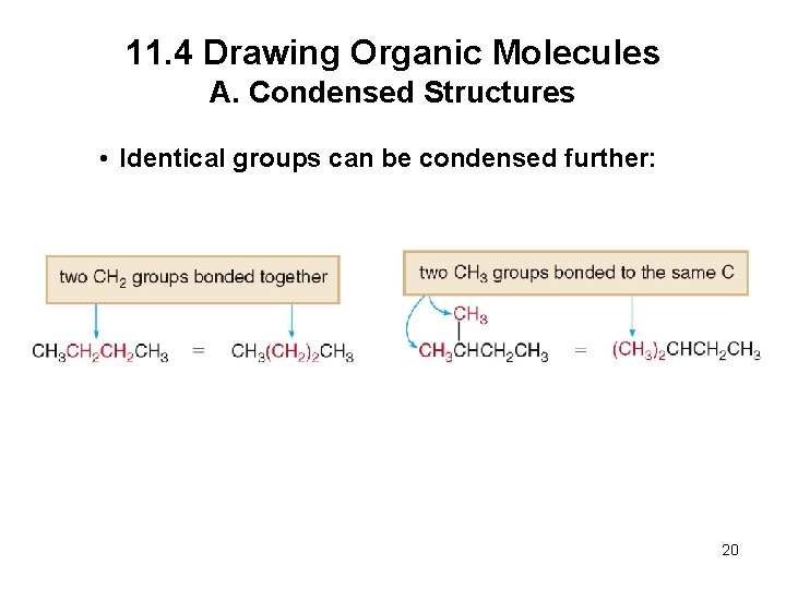 Chapter 11 Lecture Outline Prepared by Ashlyn Smith