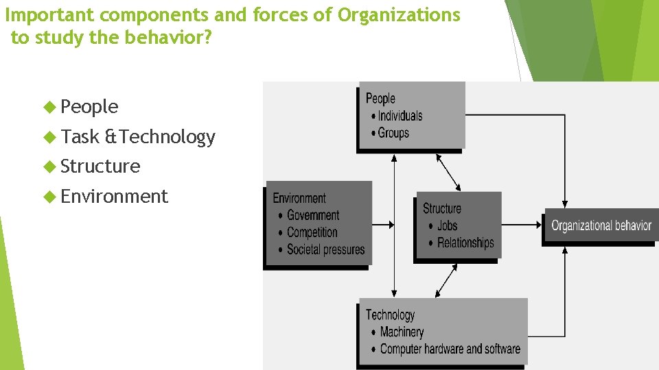 Introduction to Organizational Behavior Human Behavior and Emotions