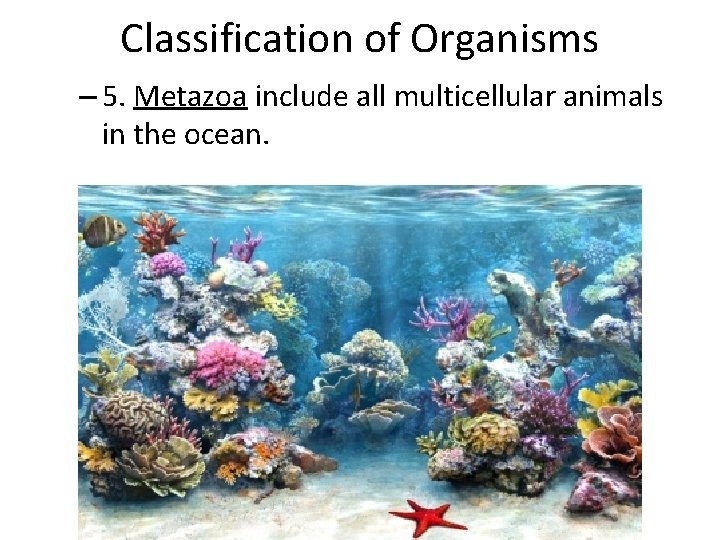 Marine Biology Ocean Habitats A There are two