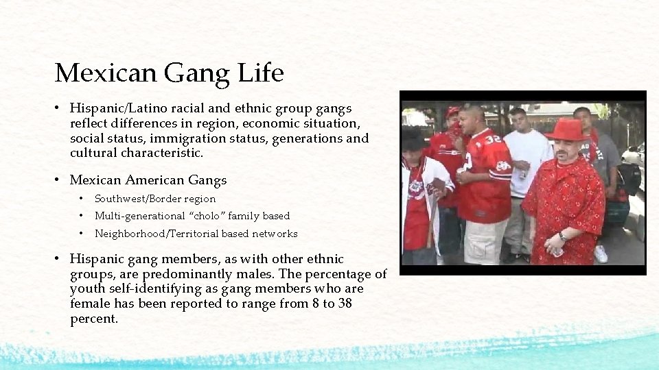 Background Information Parrot in the Oven Mi Vida