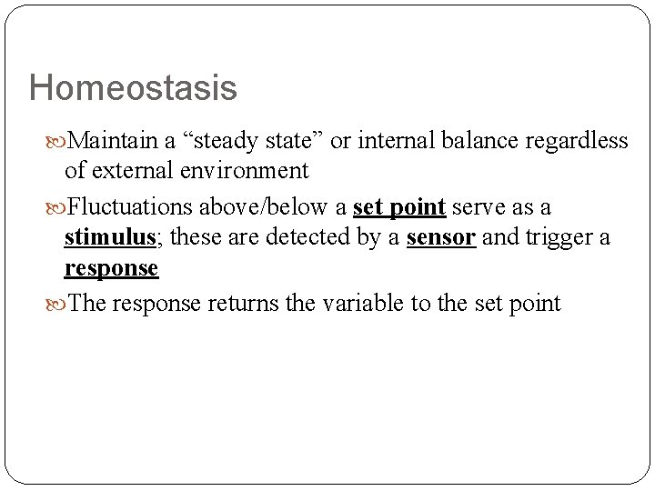 Anatomy Physiology Review Hierarchical Organization of Body Plans