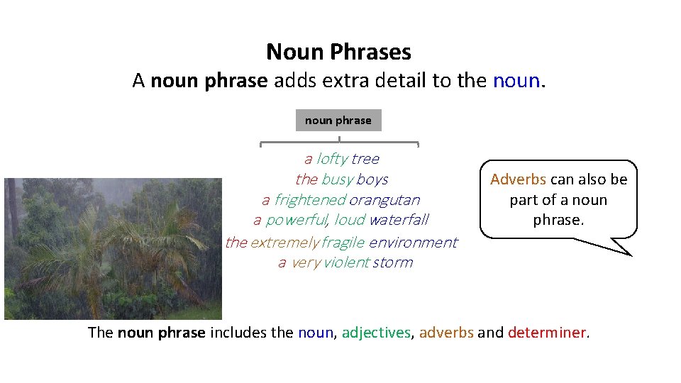 Noun Phrases and Expanded Noun Phrases Rainforests Nouns