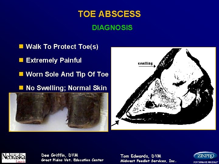 Dee Griffin DVM Great Plains Vet Education Center