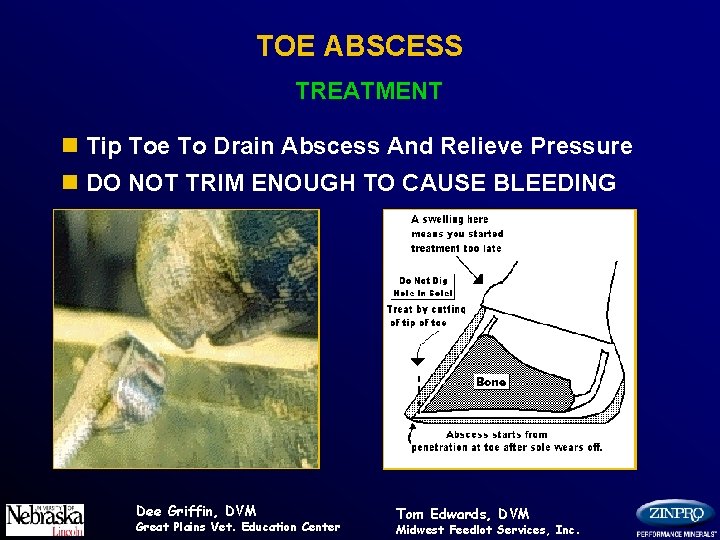 Dee Griffin DVM Great Plains Vet Education Center