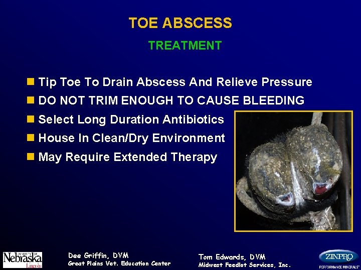 Dee Griffin DVM Great Plains Vet Education Center