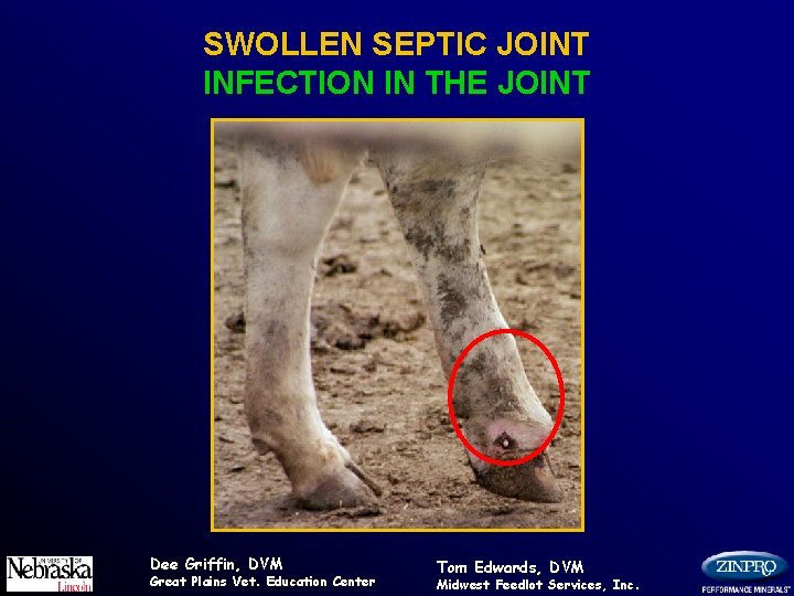 Dee Griffin DVM Great Plains Vet Education Center