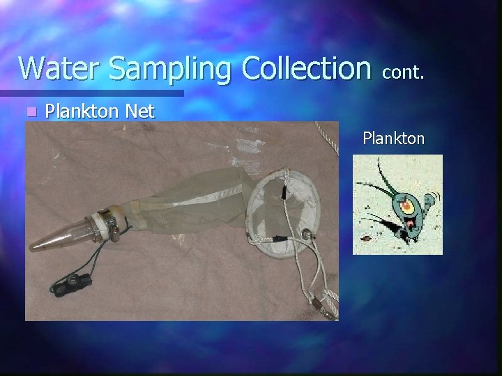 Titlow Beach Marine Preserve An Introduction to Water