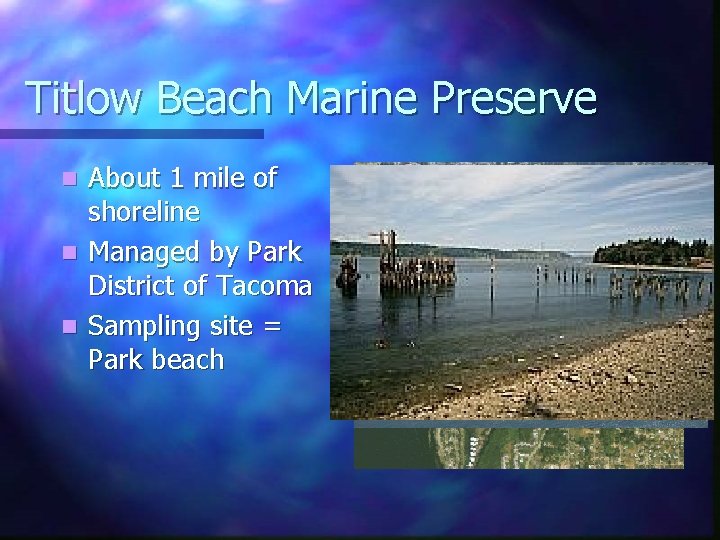 Titlow Beach Marine Preserve An Introduction to Water