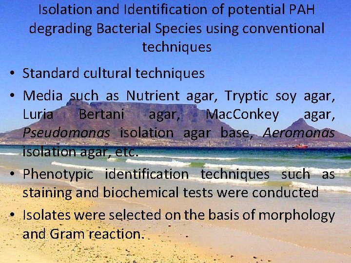 Isolation and Identification of potential PAH degrading Bacterial