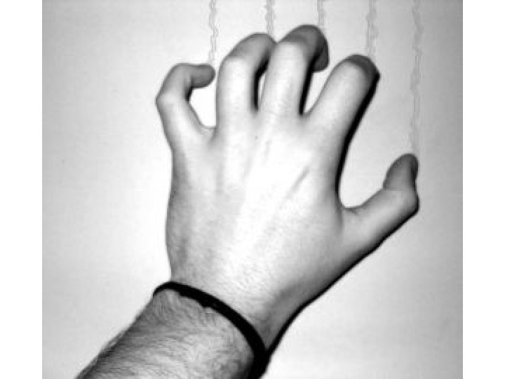 THE HAND Expressing ideas and emotions This PPT