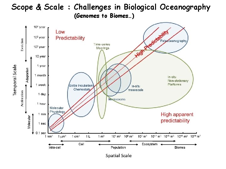 Data Space Biological Oceanography Scientific Domain Ed De