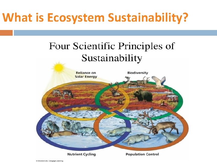 HUMAN IMPACT ON ECOSYSTEMS What is Ecosystem Sustainability