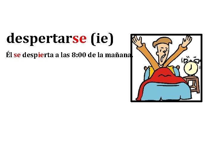 Las Palabras Indefinidas y Negativas Con los verbos