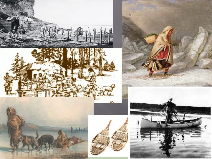 SUBARCTIC Moose Hide The peoples of the subarctic