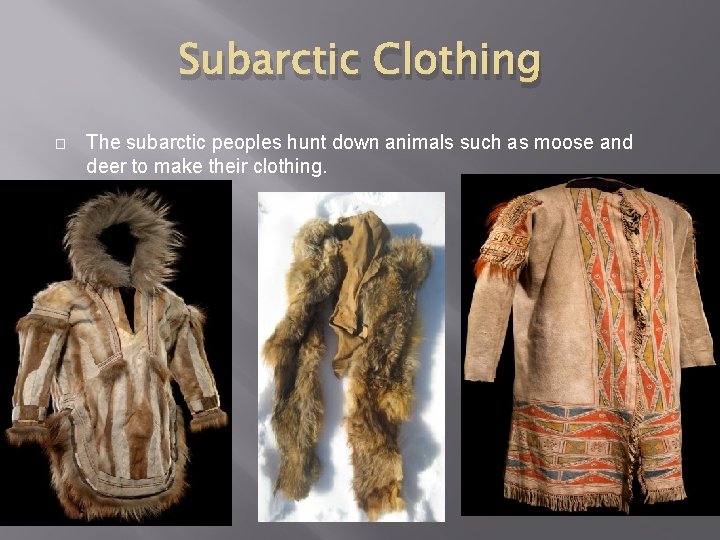 SUBARCTIC Moose Hide The peoples of the subarctic