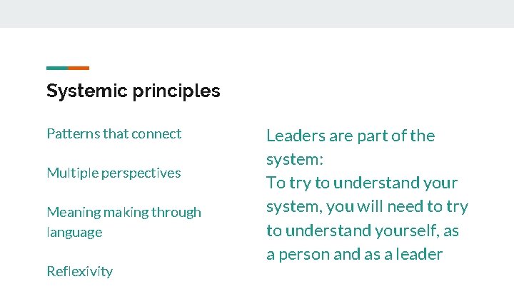 Systemic Leadership A brief introduction and some food