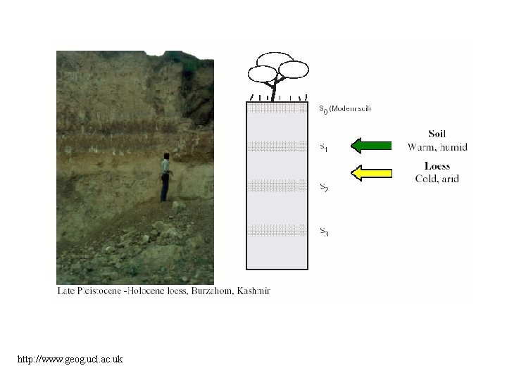 Nonmarine Evidence Chapter 7 Loess Loess windblown deposit