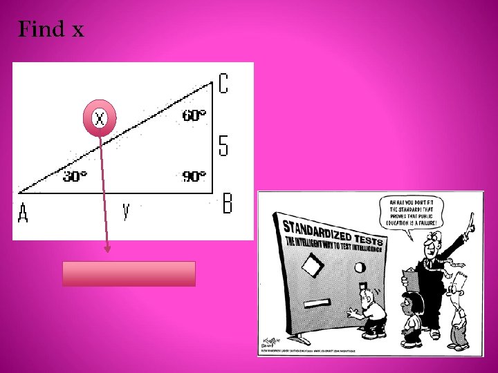 Testing Harmer Chapter 13 By Mercedes Montano Bryan