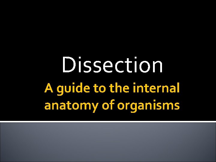 Dissection A guide to the internal anatomy of