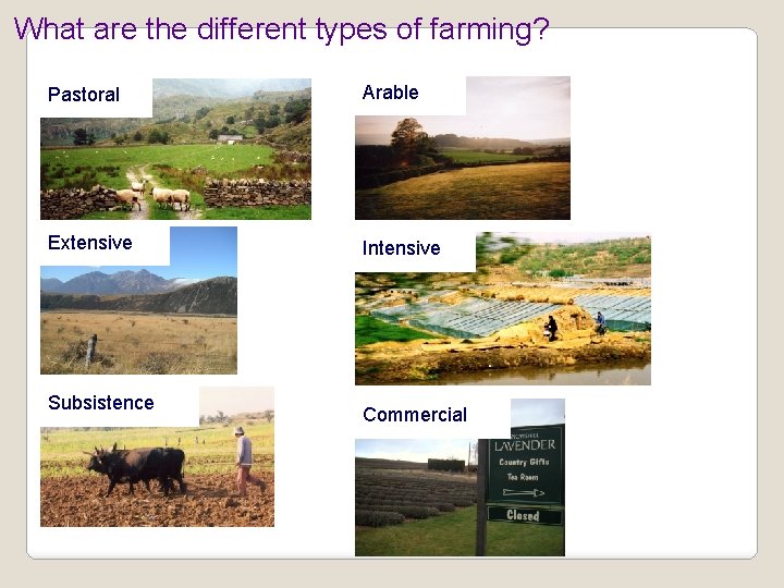 Farming as a System Mr Boland Geography Farming